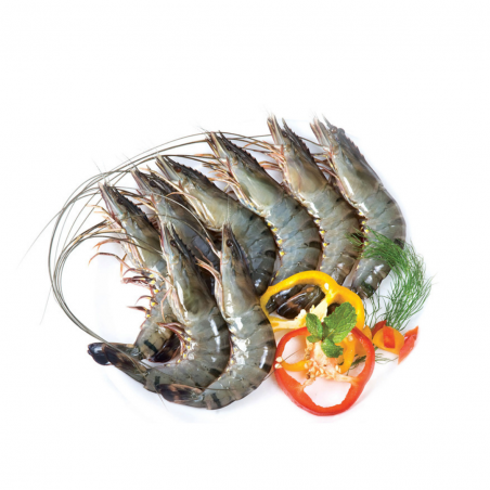 Crevettes Black tiger 1Kg