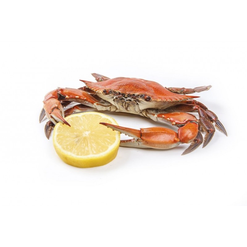 Chair de crabe 500g